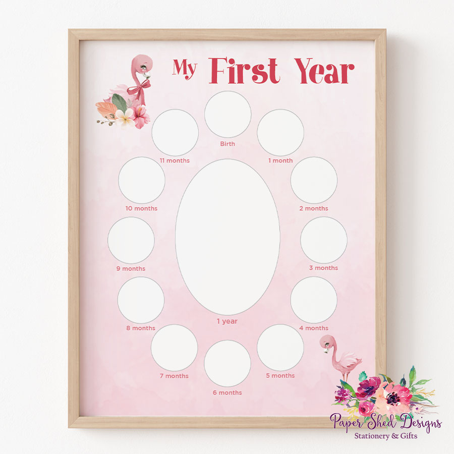 First Year Frame | Flamingo - Paper Shed Designs